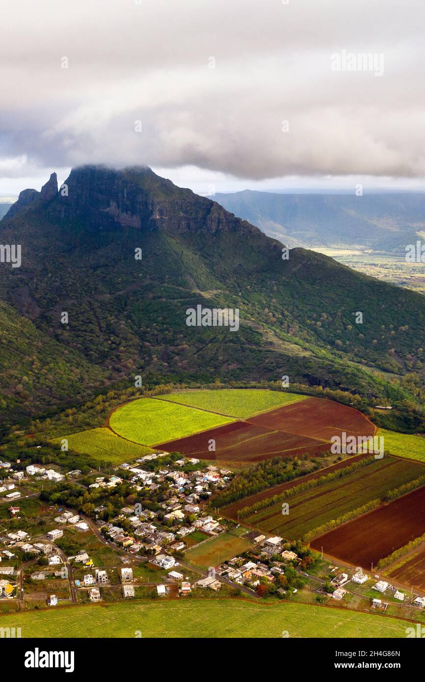 Sugar cane plantations mauritius hi-res stock photography and images ...