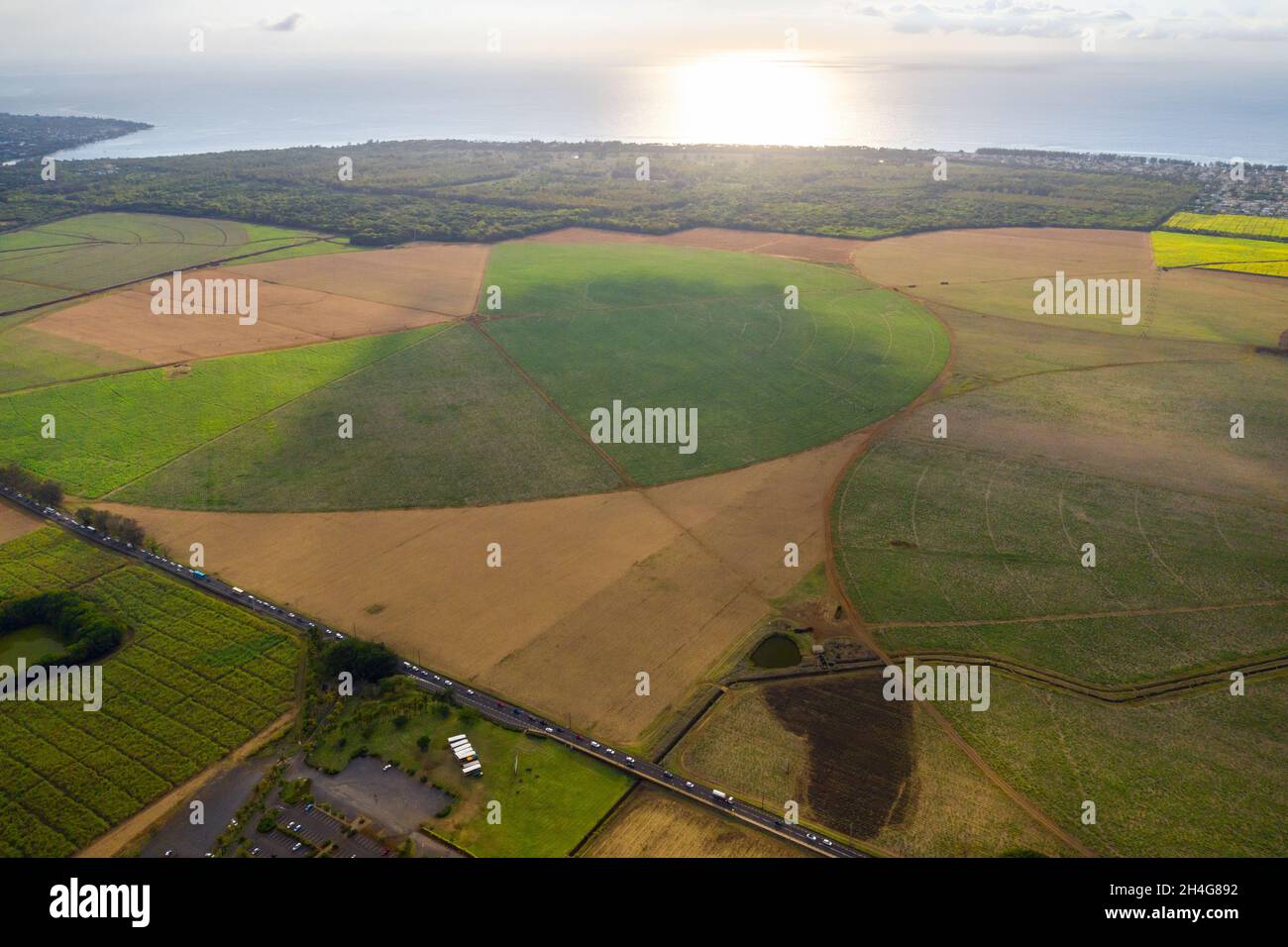 Cress plantations hi-res stock photography and images - Alamy