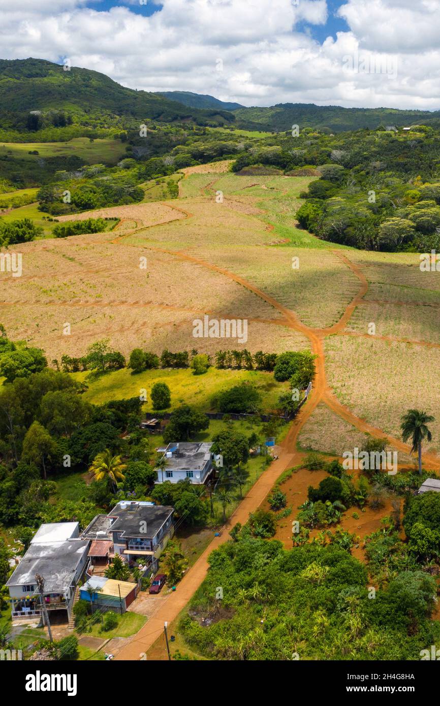 Bird's-eye view of the mountains and fields of the island of Mauritius ...