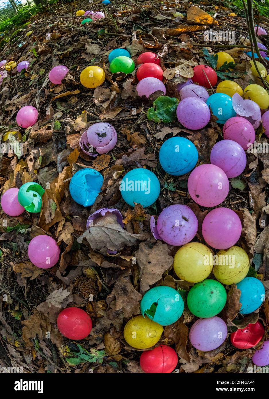 Discarded damaged coloured plastic balls in a forest setting Stock ...
