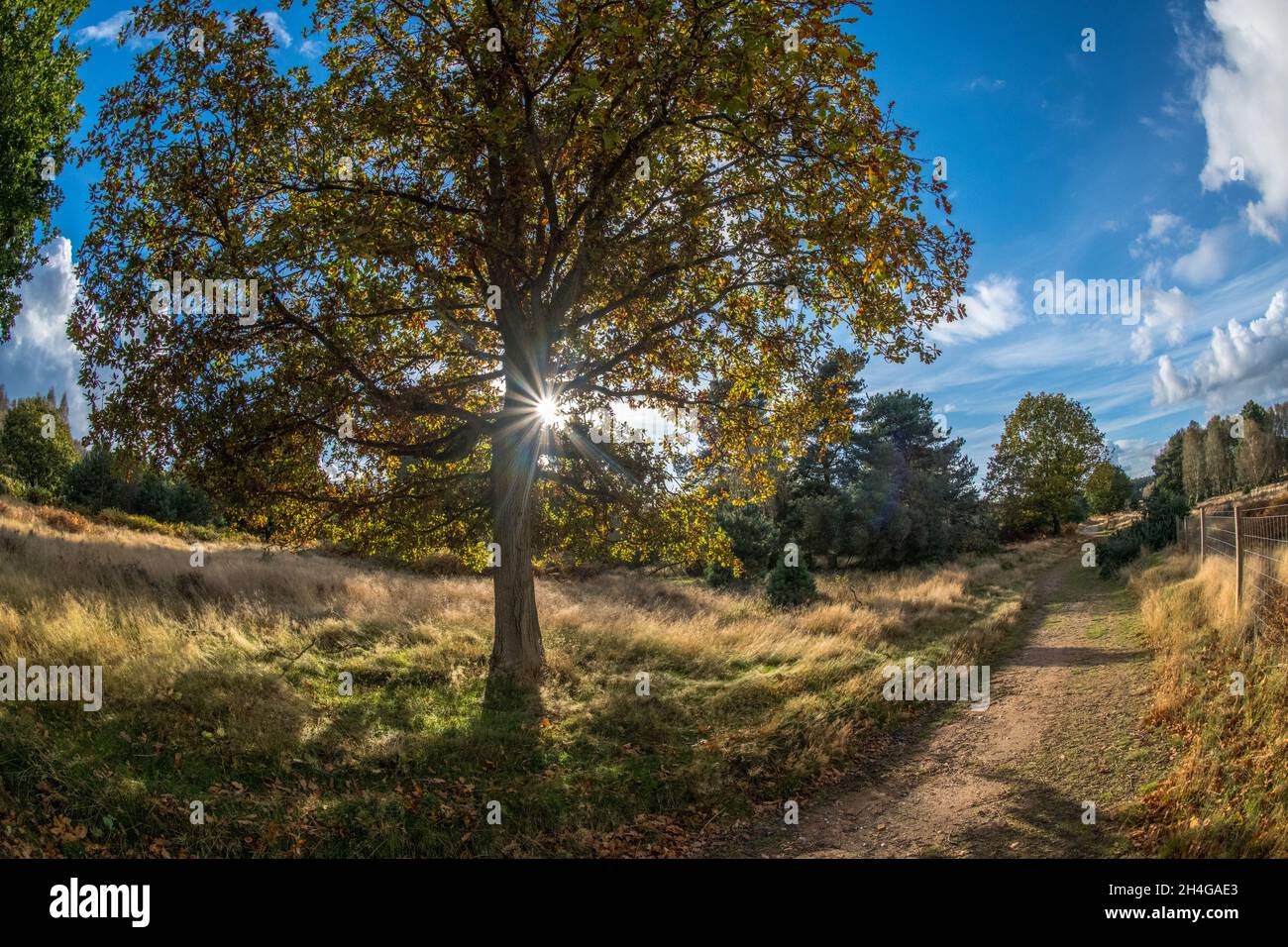 Deciduous forest ground hi-res stock photography and images - Alamy
