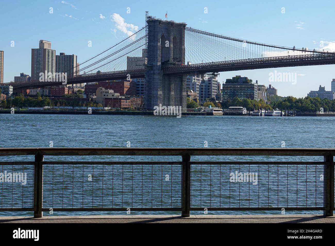 The Brooklyn and Manhattan Bridges are iconic architectural structures ...
