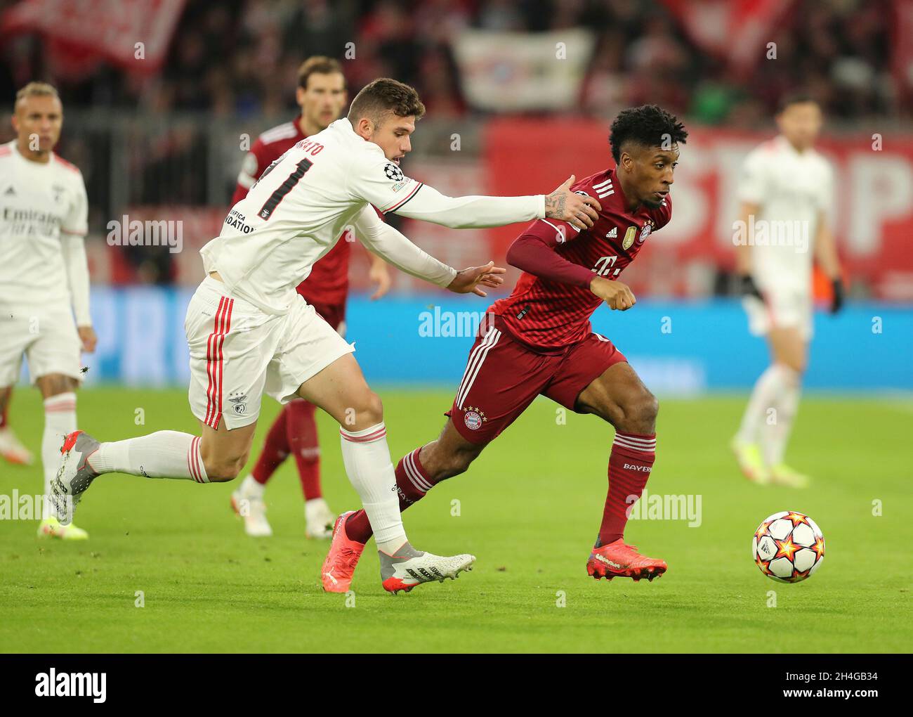 Morato benfica hi-res stock photography and images - Alamy