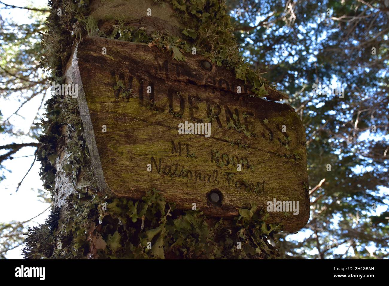 Wooden signs for the Mount Hood Wilderness on an October day on the ...