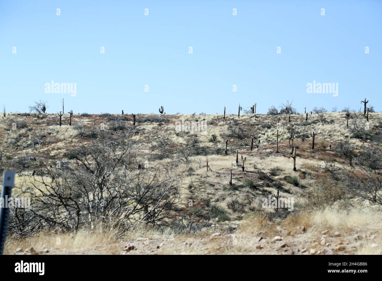 In the Tonto National Forest along the Beeline Highway northeast of ...