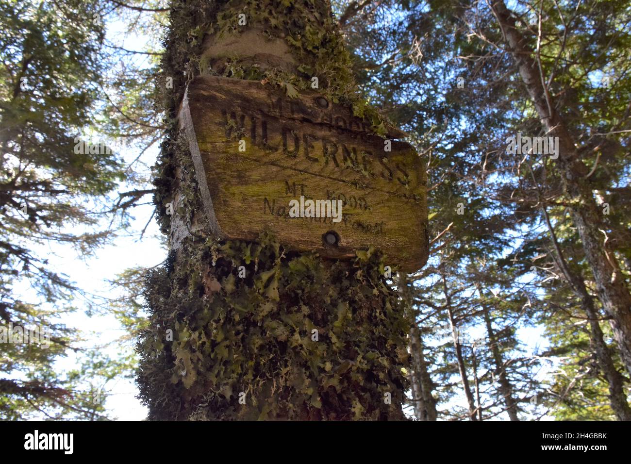 Wooden signs for the Mount Hood Wilderness on an October day on the ...