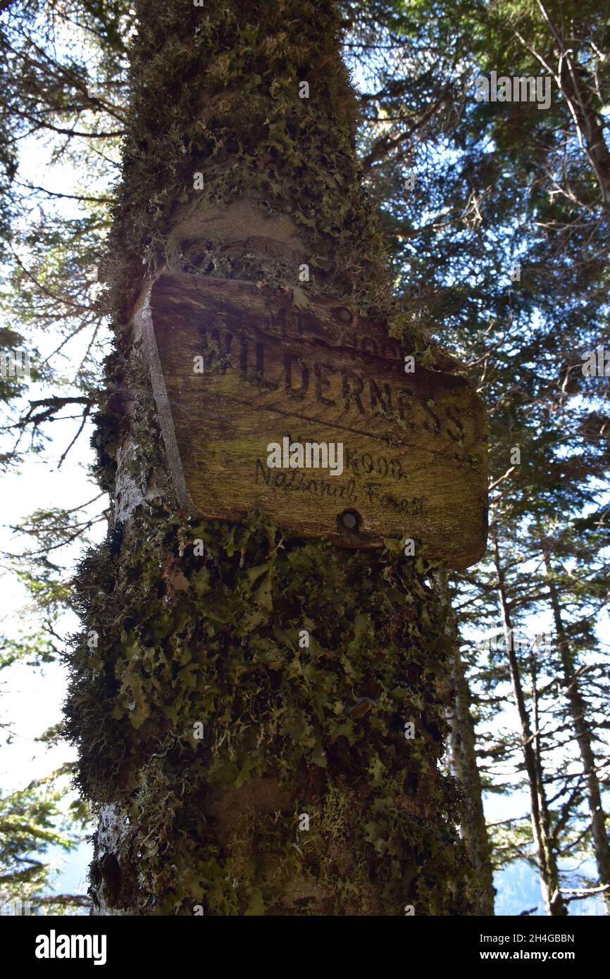 Wooden signs for the Mount Hood Wilderness on an October day on the ...