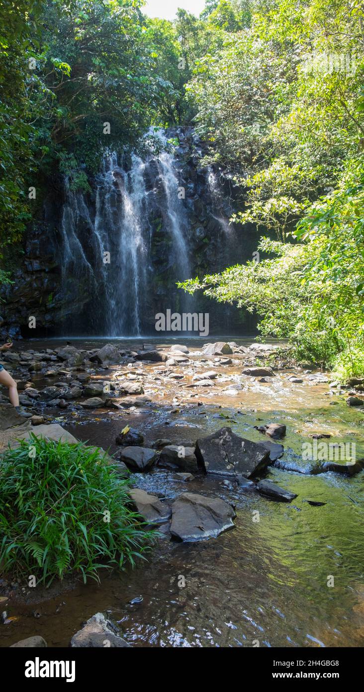 Ellinjaa Falls, Atherton Tablelands, Queensland, Australia Stock Photo ...
