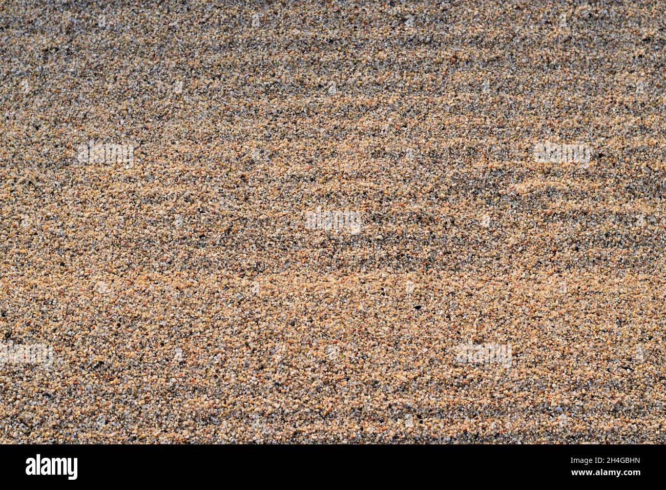 Plain background of the ground at a beach - texture of grains of sand ...