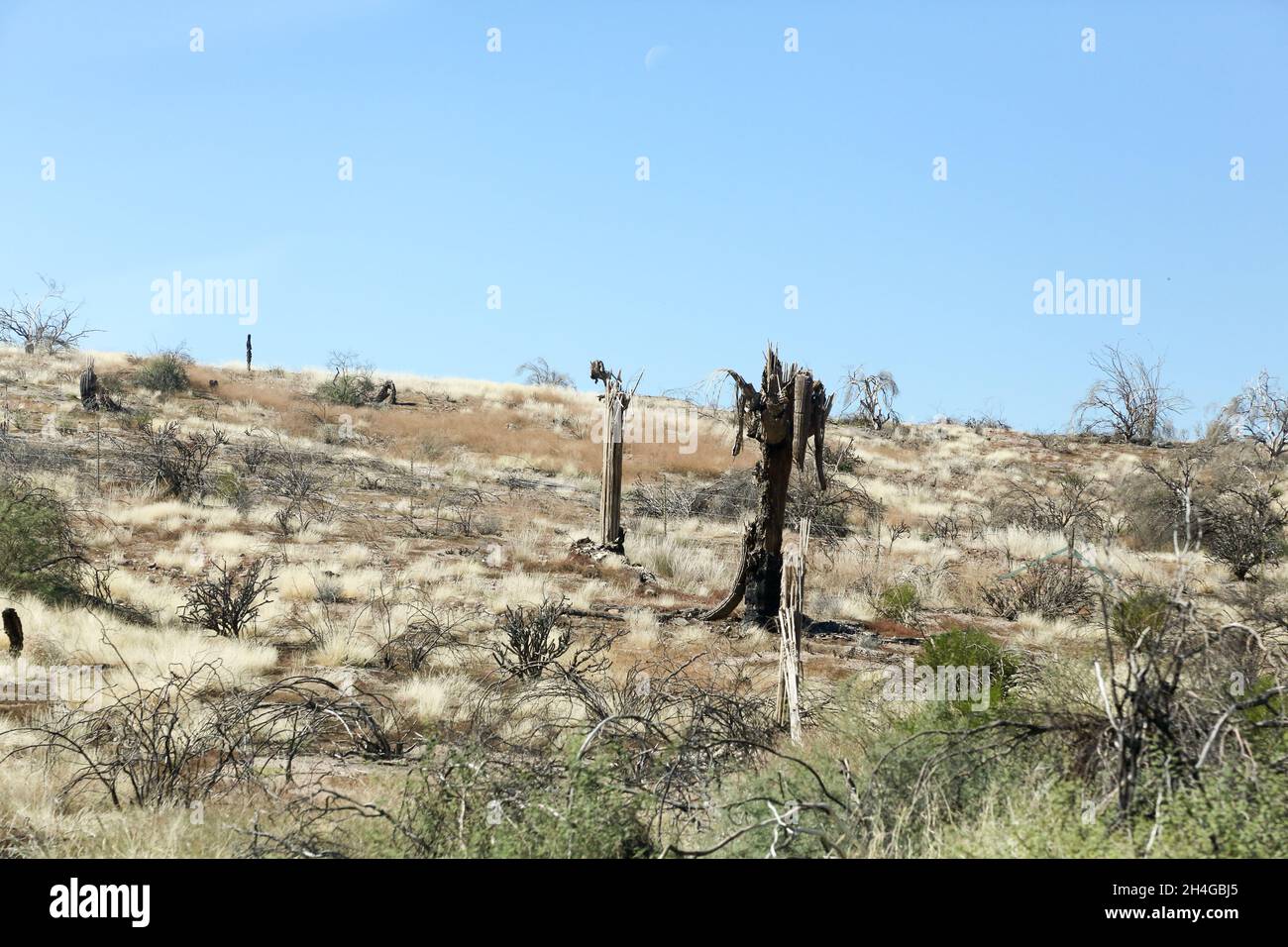 In the Tonto National Forest along the Beeline Highway northeast of ...