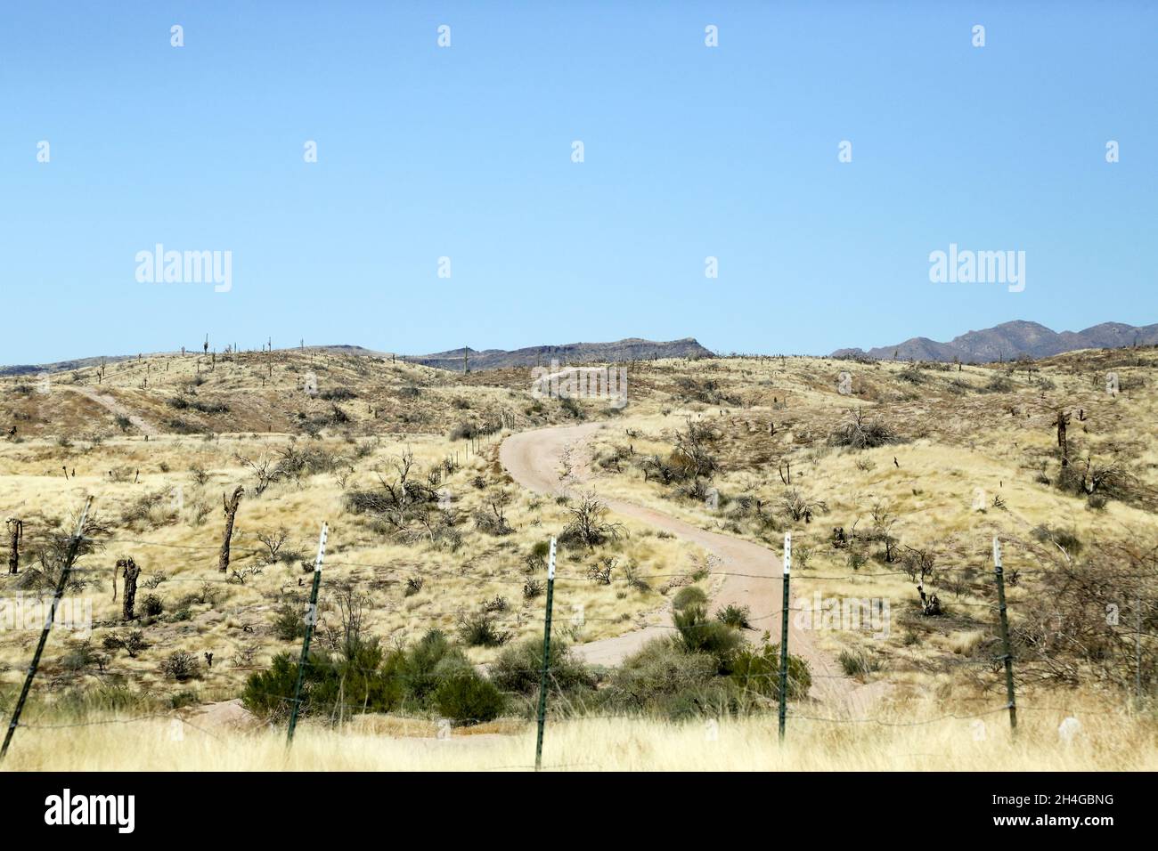 In the Tonto National Forest along the Beeline Highway northeast of ...