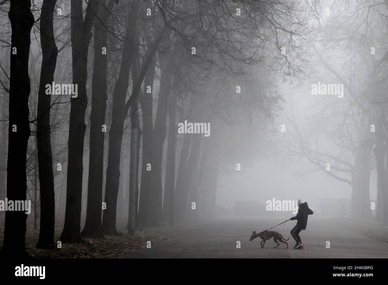Moscow, Russia. 2nd Nov, 2021. A teenager and his dog captured at ...