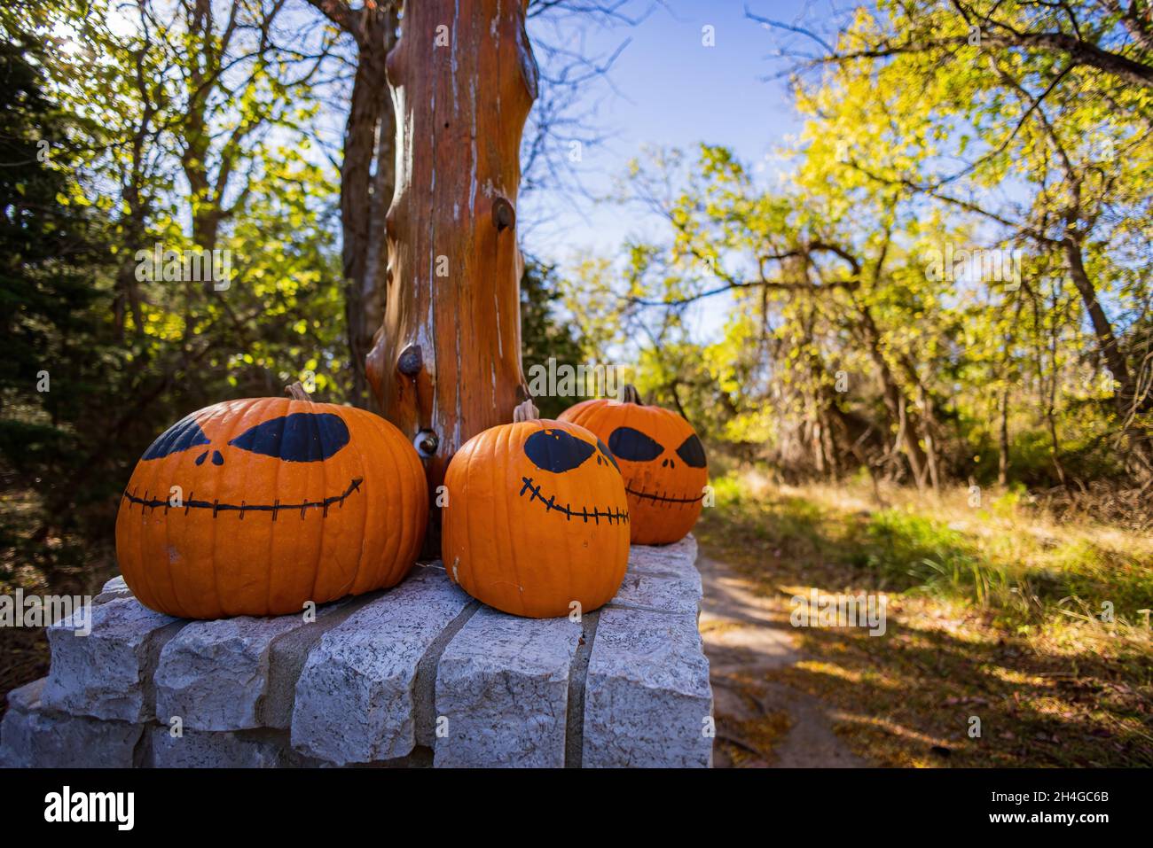 Sunny view of the landscape inside the Boiling Springs State Park at ...