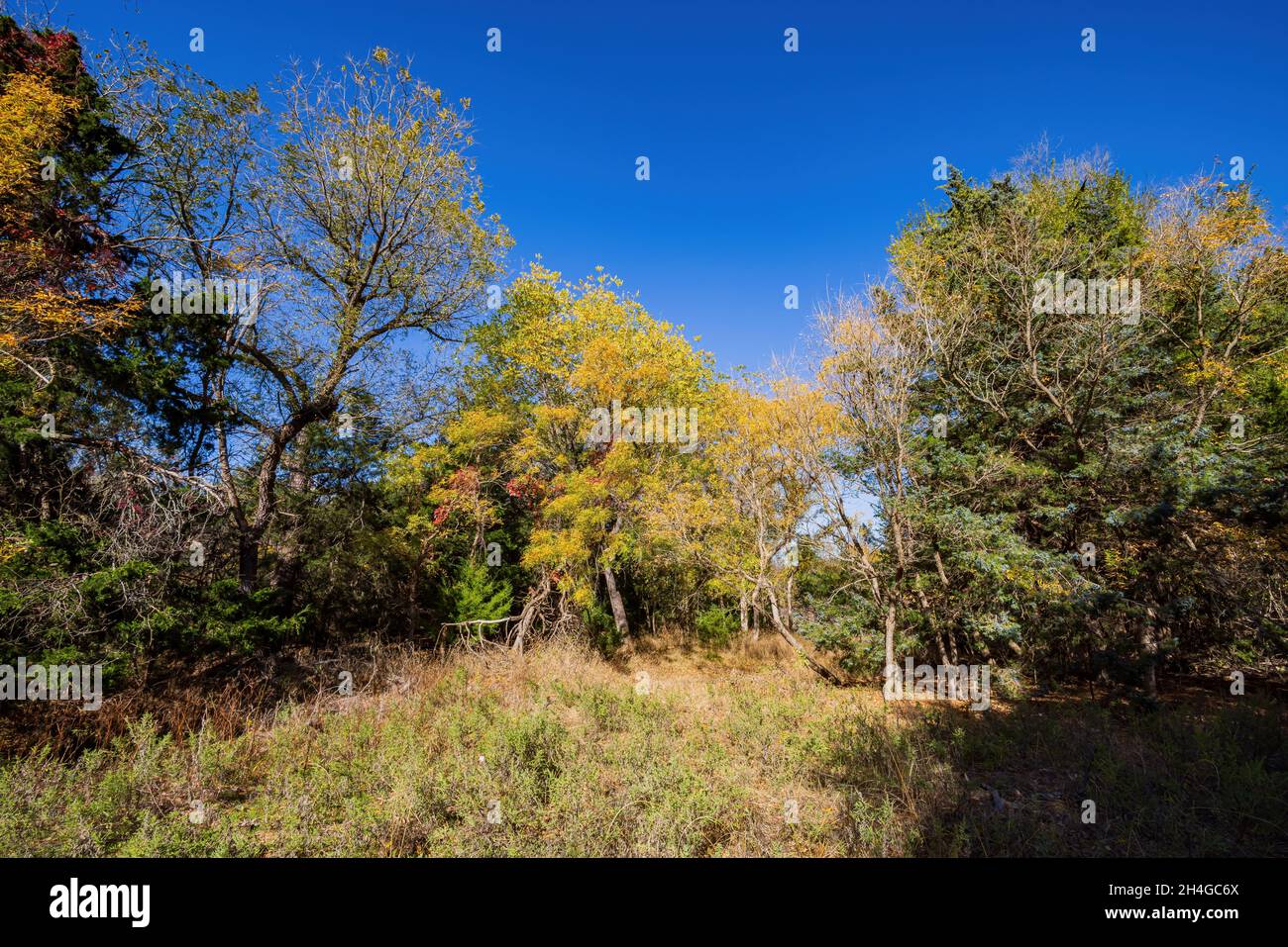 Sunny view of the landscape inside the Boiling Springs State Park at ...