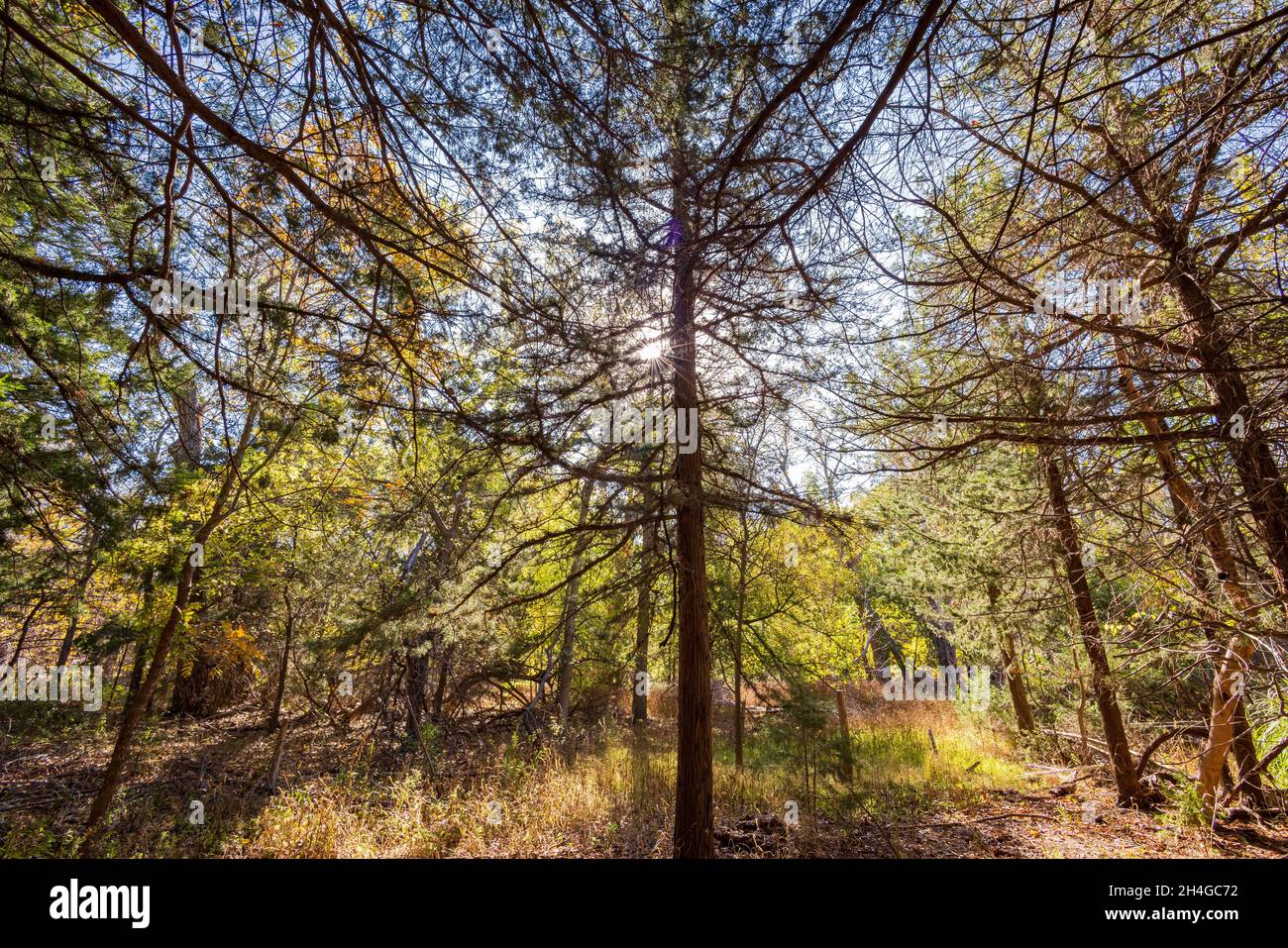 Sunny view of the landscape inside the Boiling Springs State Park at ...