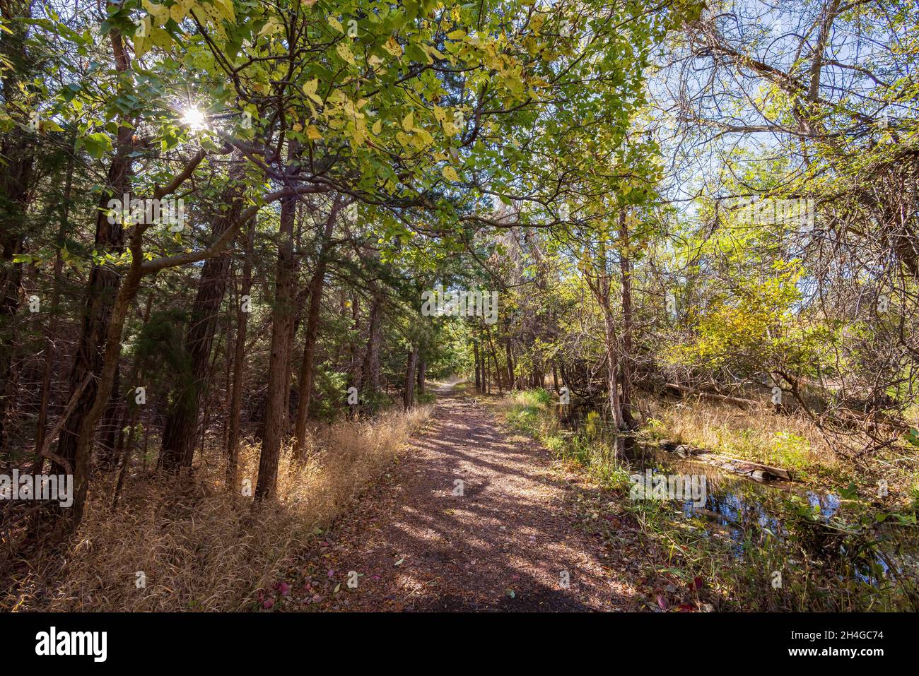 Sunny view of the landscape inside the Boiling Springs State Park at ...