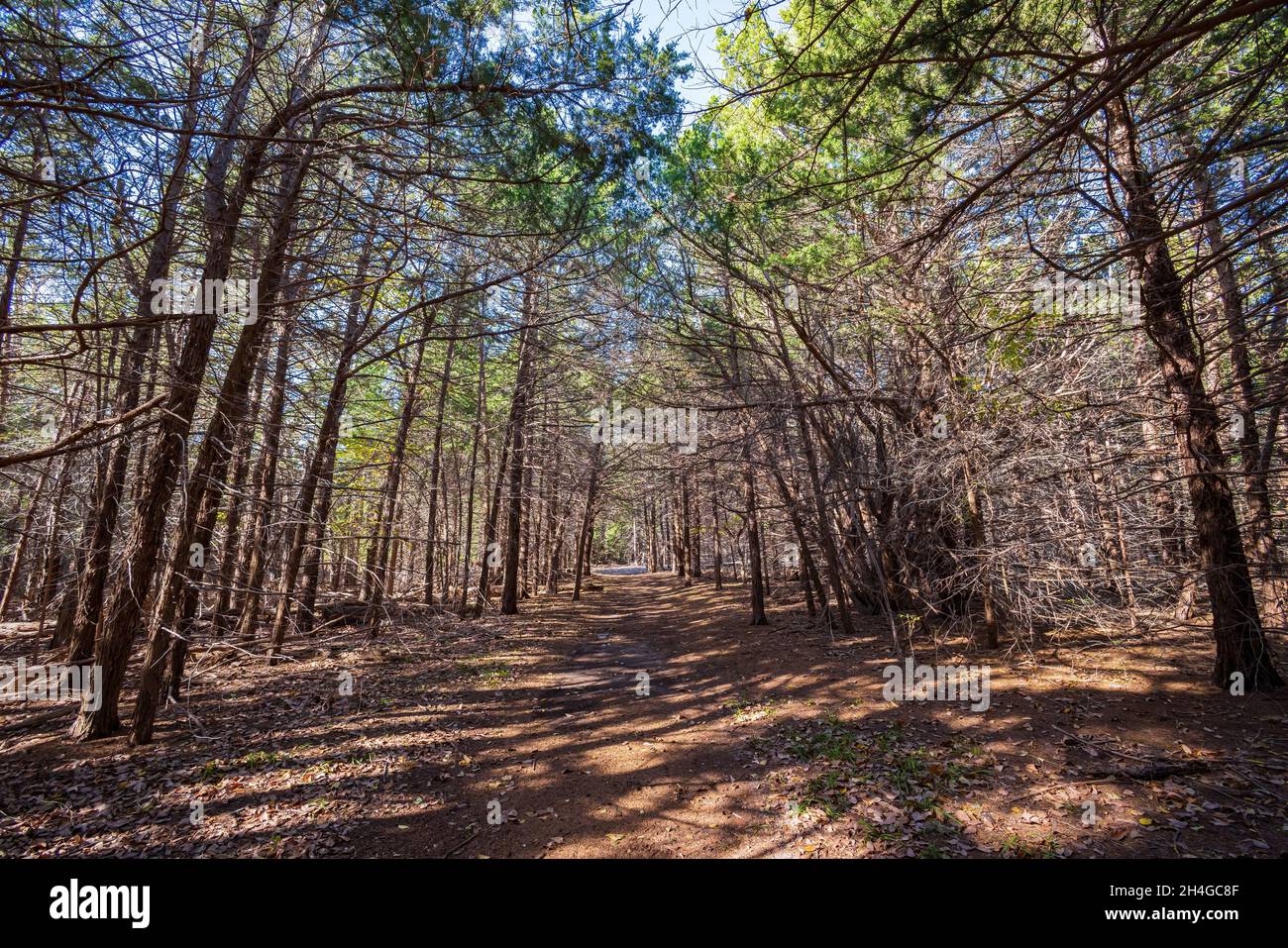 Sunny view of the landscape inside the Boiling Springs State Park at ...