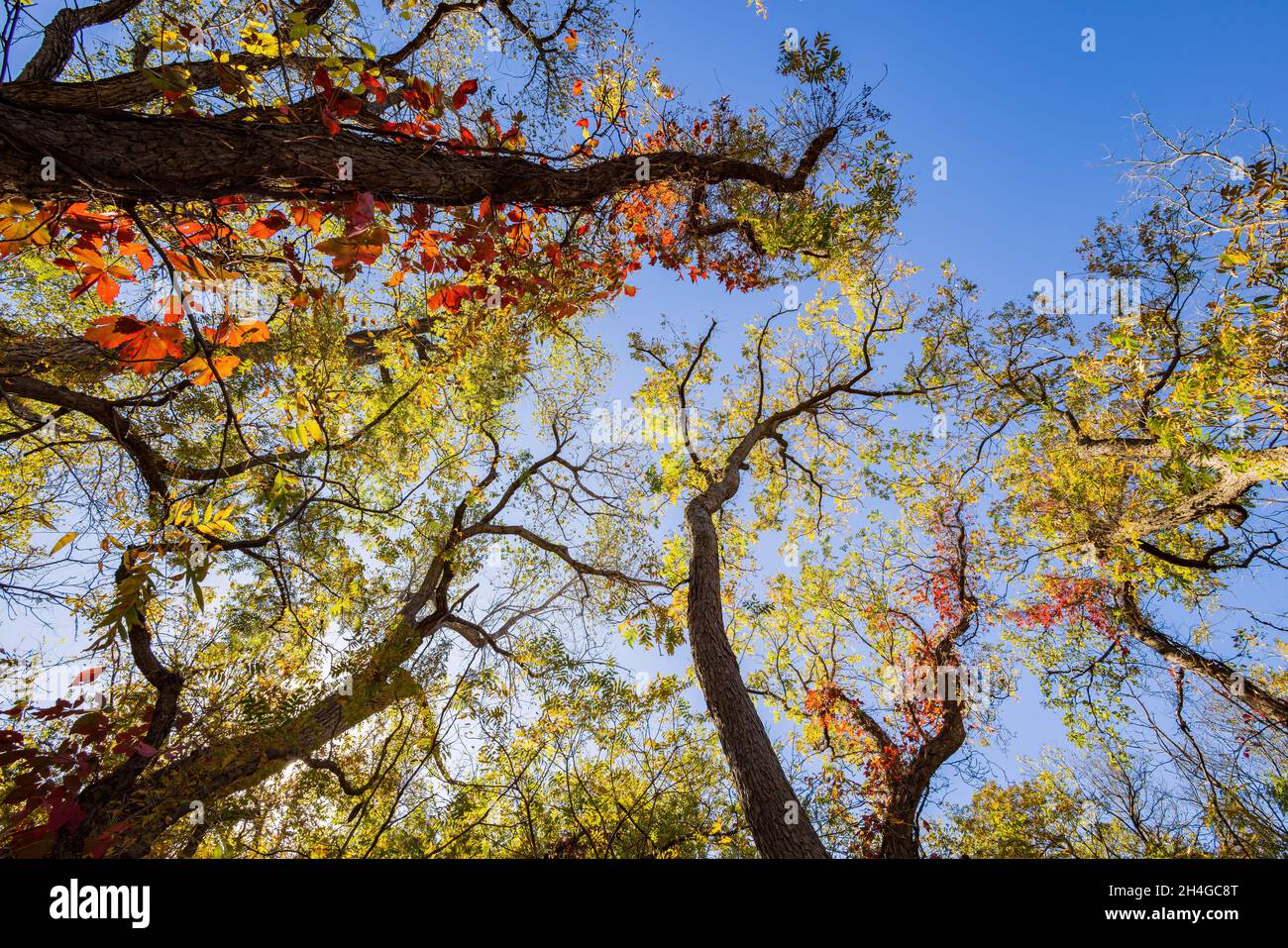 Sunny view of the landscape inside the Boiling Springs State Park at ...