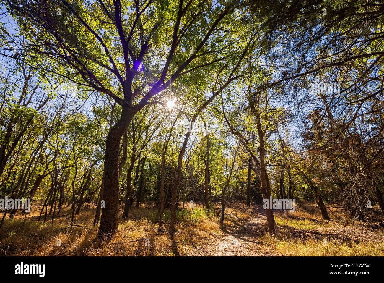 Sunny view of the landscape inside the Boiling Springs State Park at ...
