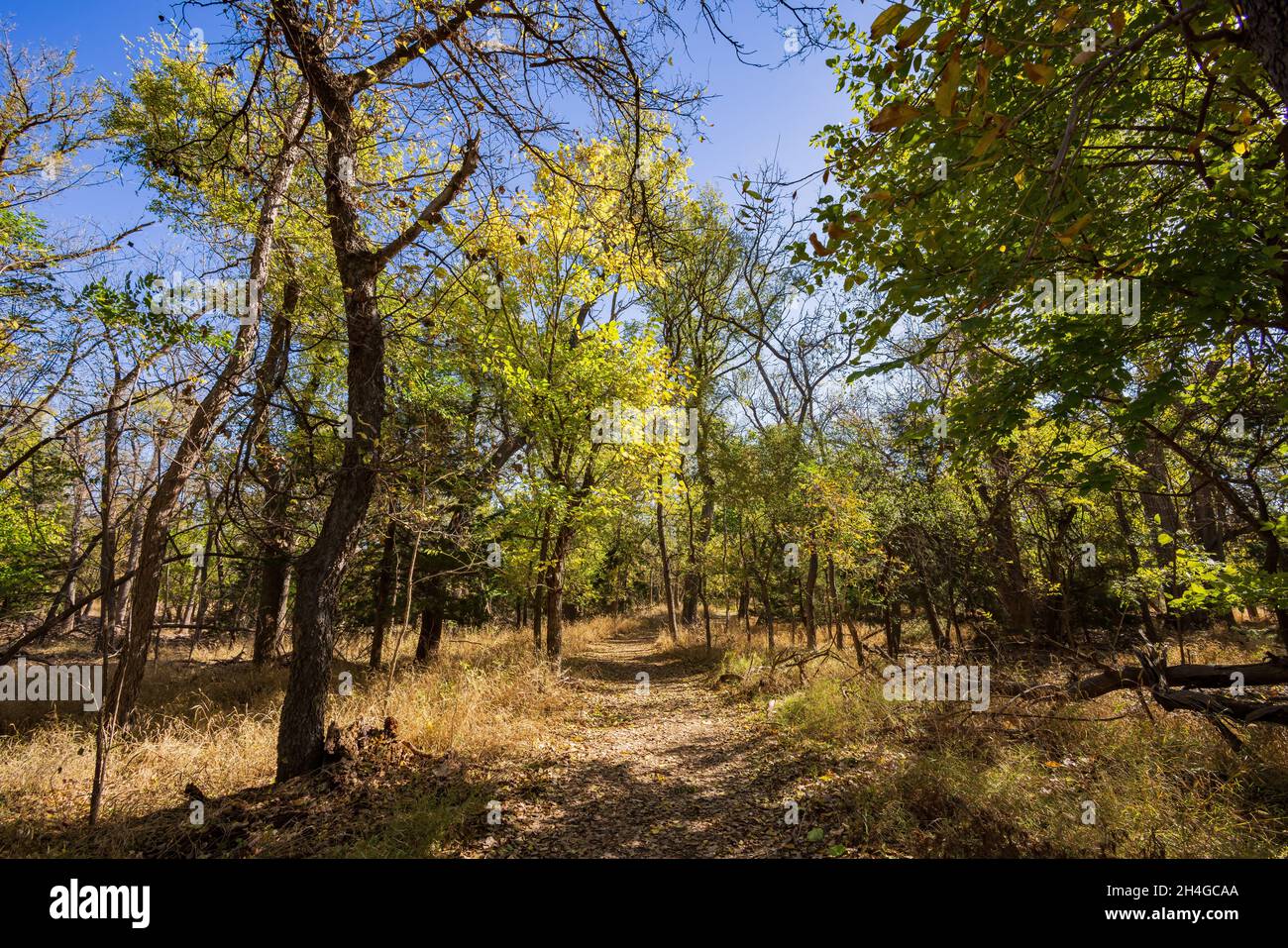 Sunny view of the landscape inside the Boiling Springs State Park at ...