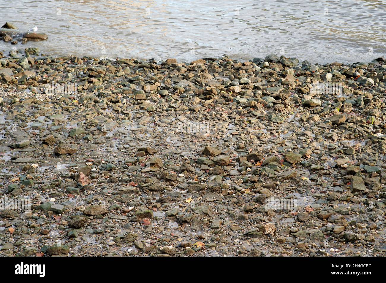 Exposed stones hi-res stock photography and images - Alamy