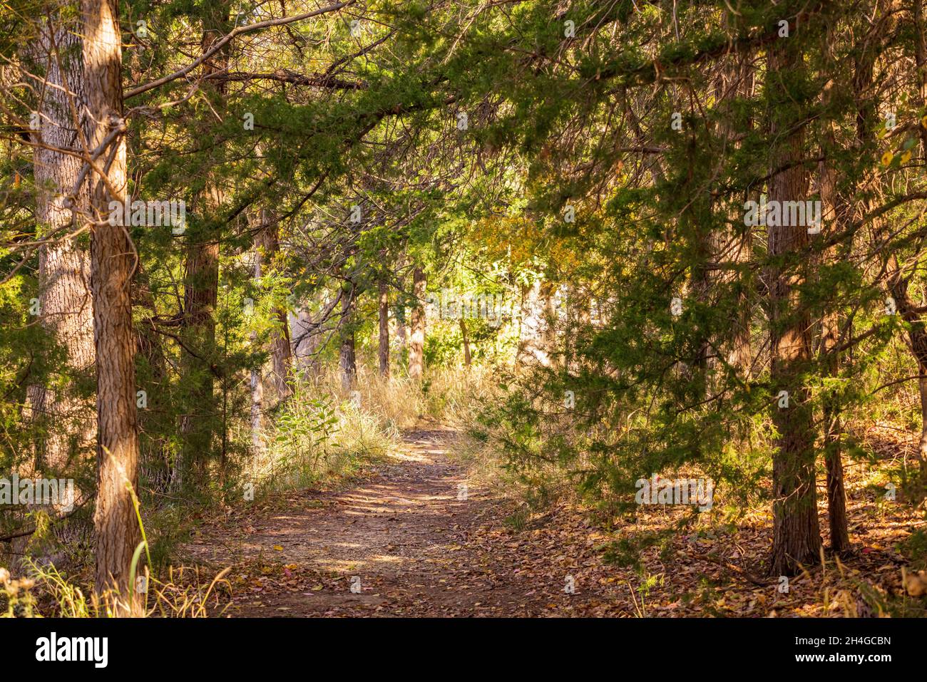 Sunny view of the landscape inside the Boiling Springs State Park at ...