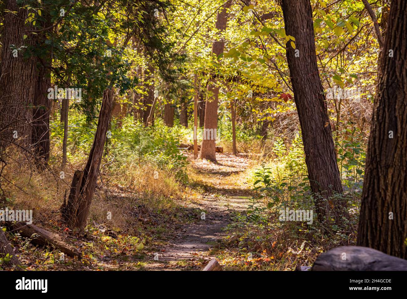 Sunny view of the landscape inside the Boiling Springs State Park at ...