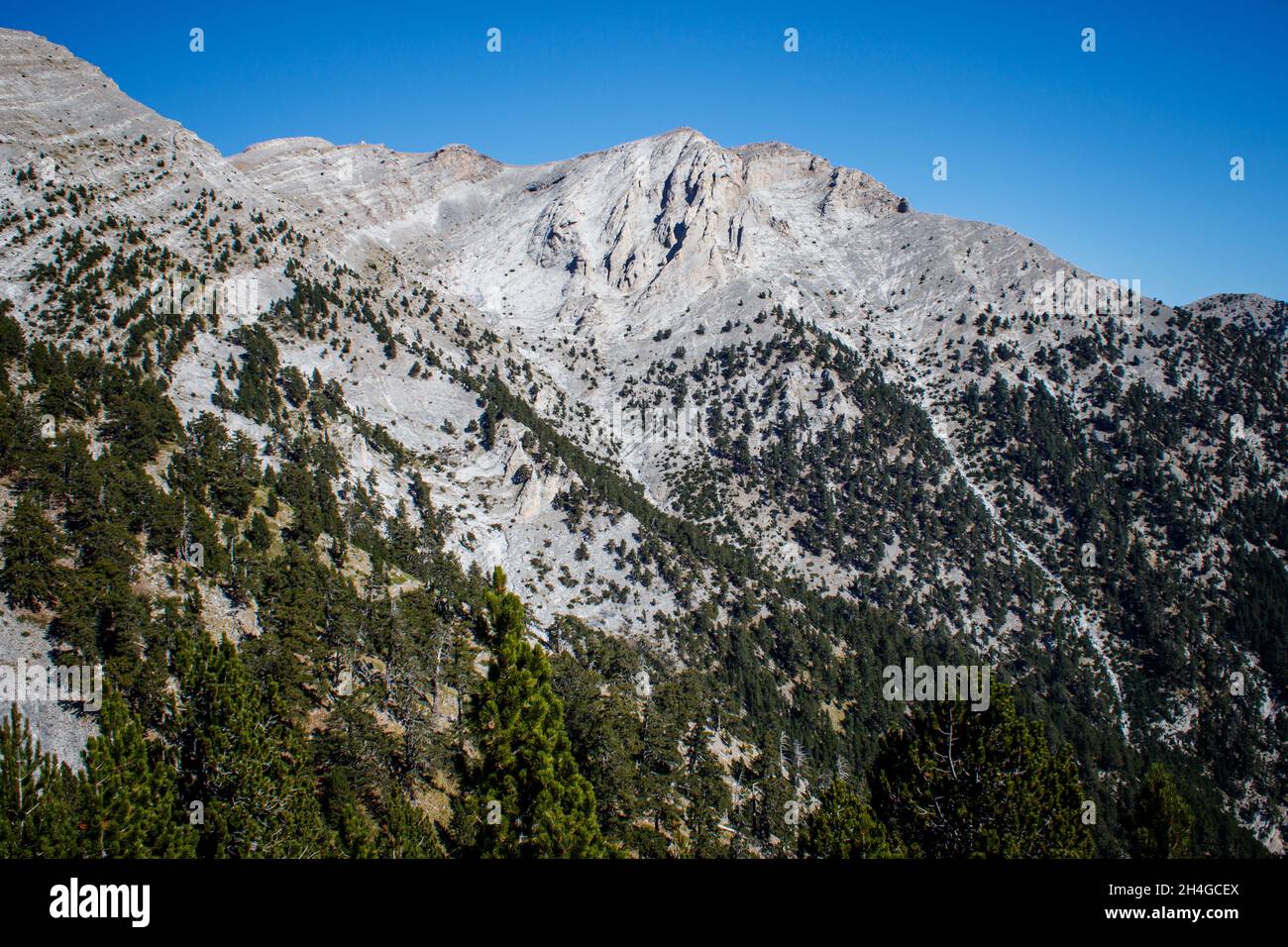 Mount Olympus (Greece Stock Photo - Alamy