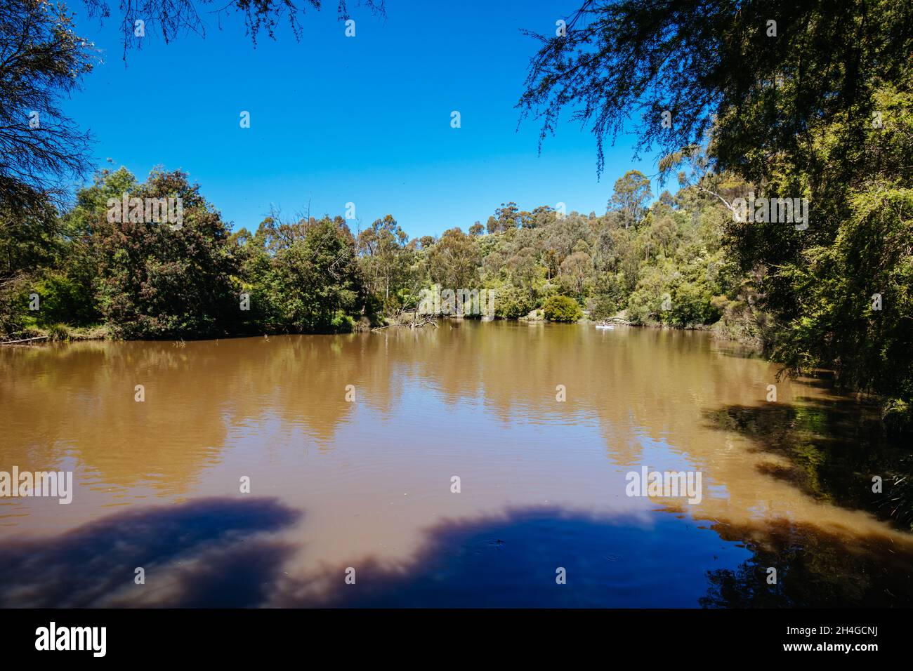 Mount Lofty Circuit Walk in Melbourne Australia Stock Photo - Alamy