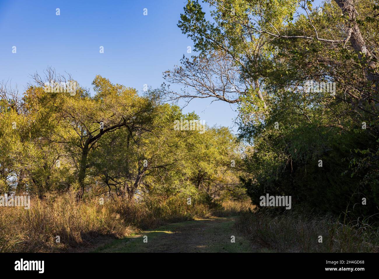 Autumn landscape of the Jet Recreation Nature Trail at Oklahoma Stock ...