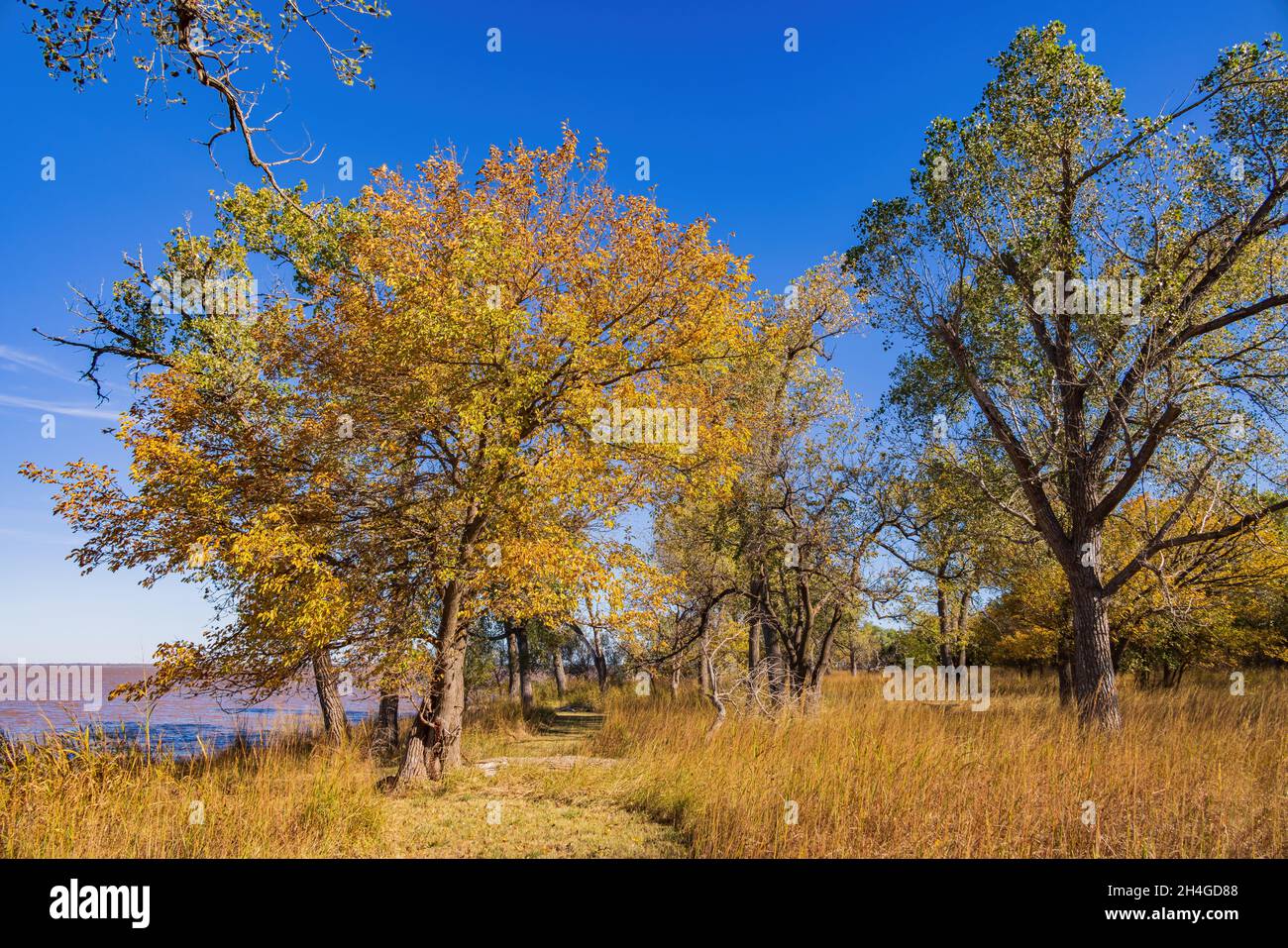 Autumn landscape of the Jet Recreation Nature Trail at Oklahoma Stock ...