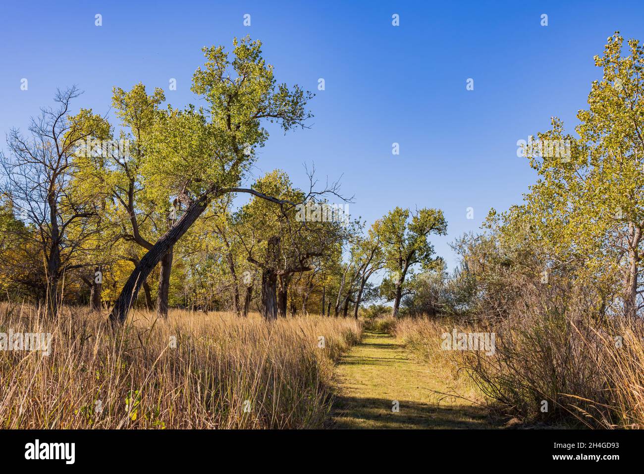 Autumn landscape of the Jet Recreation Nature Trail at Oklahoma Stock ...