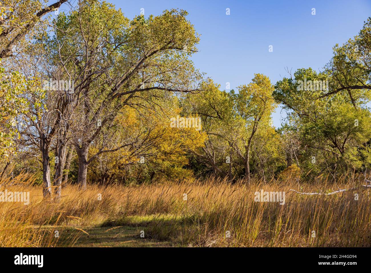 Autumn landscape of the Jet Recreation Nature Trail at Oklahoma Stock ...