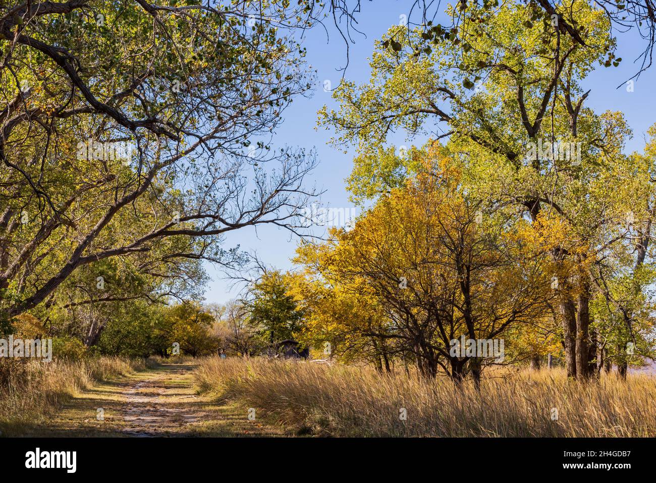 Autumn landscape of the Jet Recreation Nature Trail at Oklahoma Stock ...