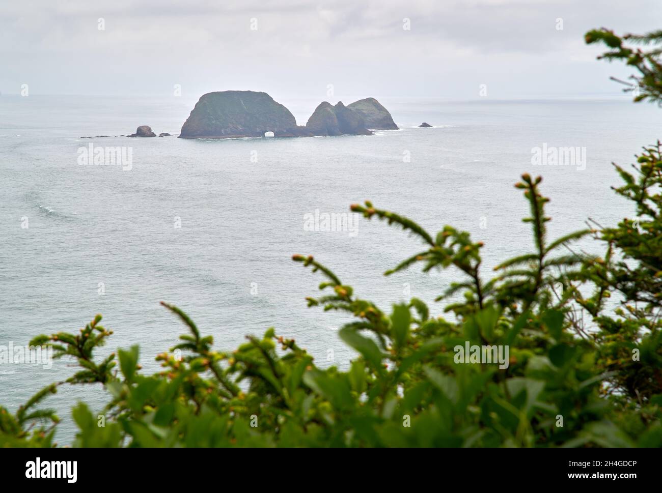 Three Arch Rocks Oregon Coast. The view of Three Arch Rocks Wildlife ...