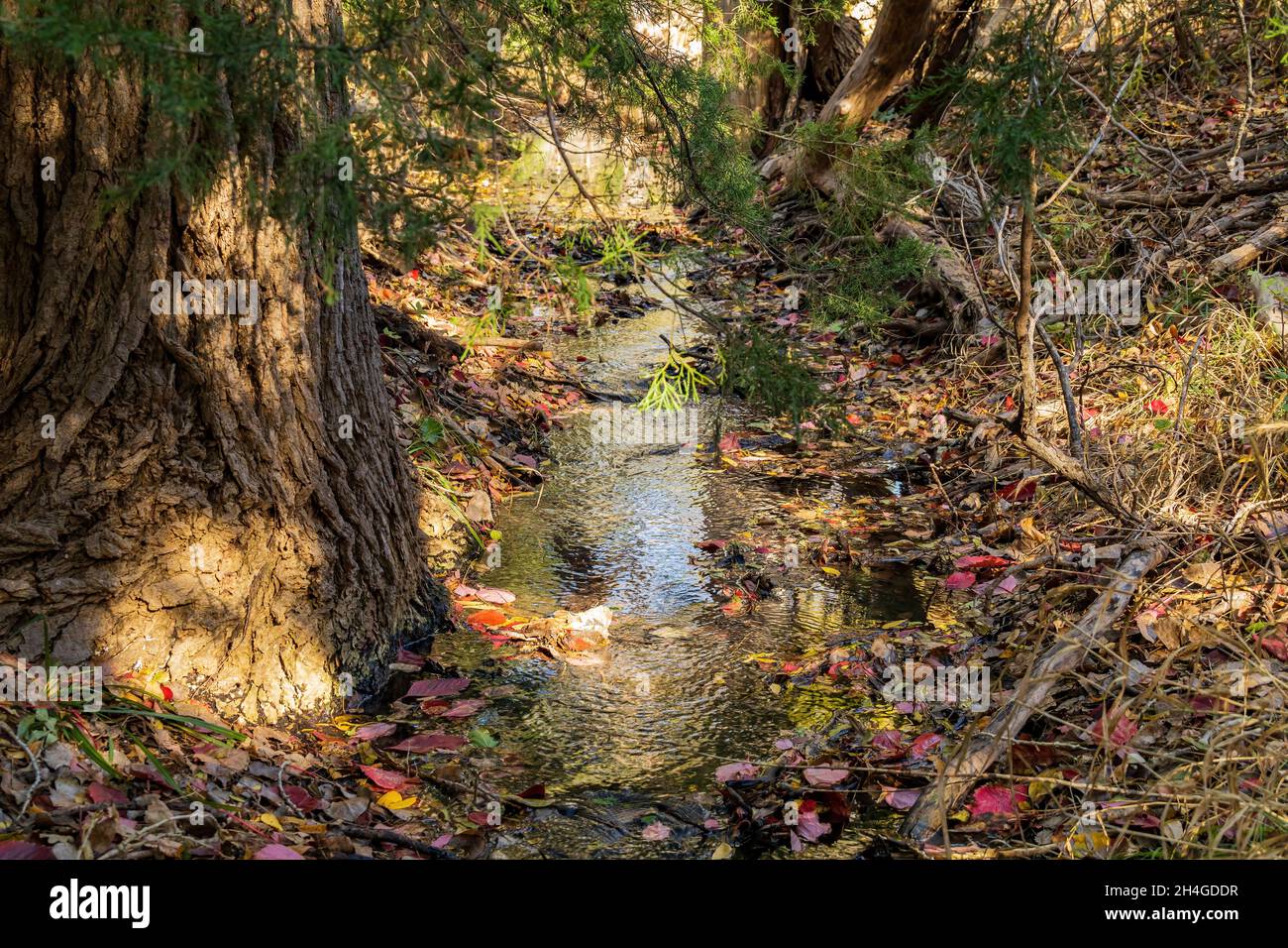 Boiling springs state park hi-res stock photography and images - Alamy