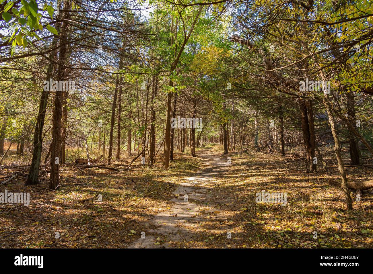 Sunny view of the landscape inside the Boiling Springs State Park at ...
