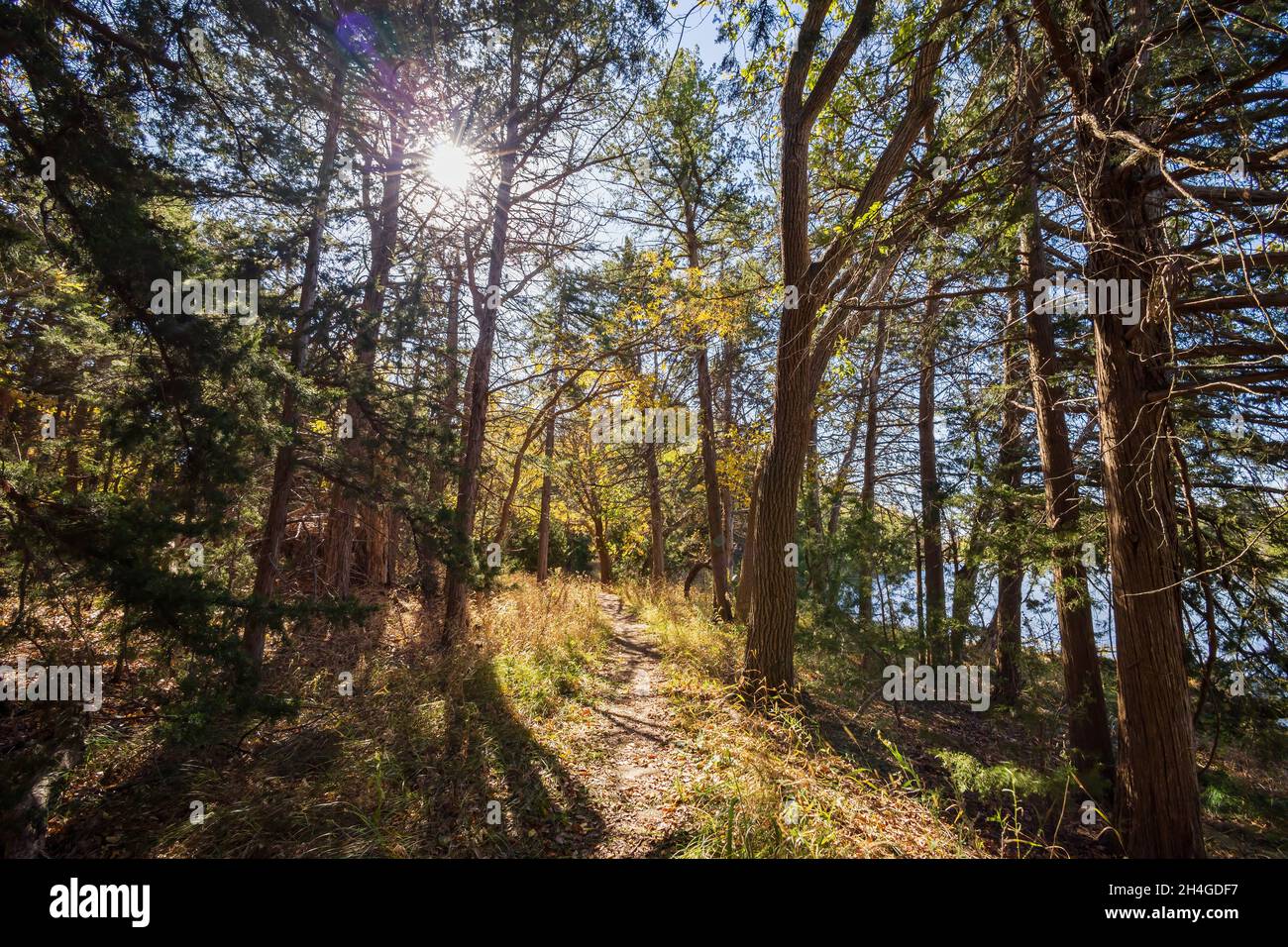 Sunny view of the landscape inside the Boiling Springs State Park at ...