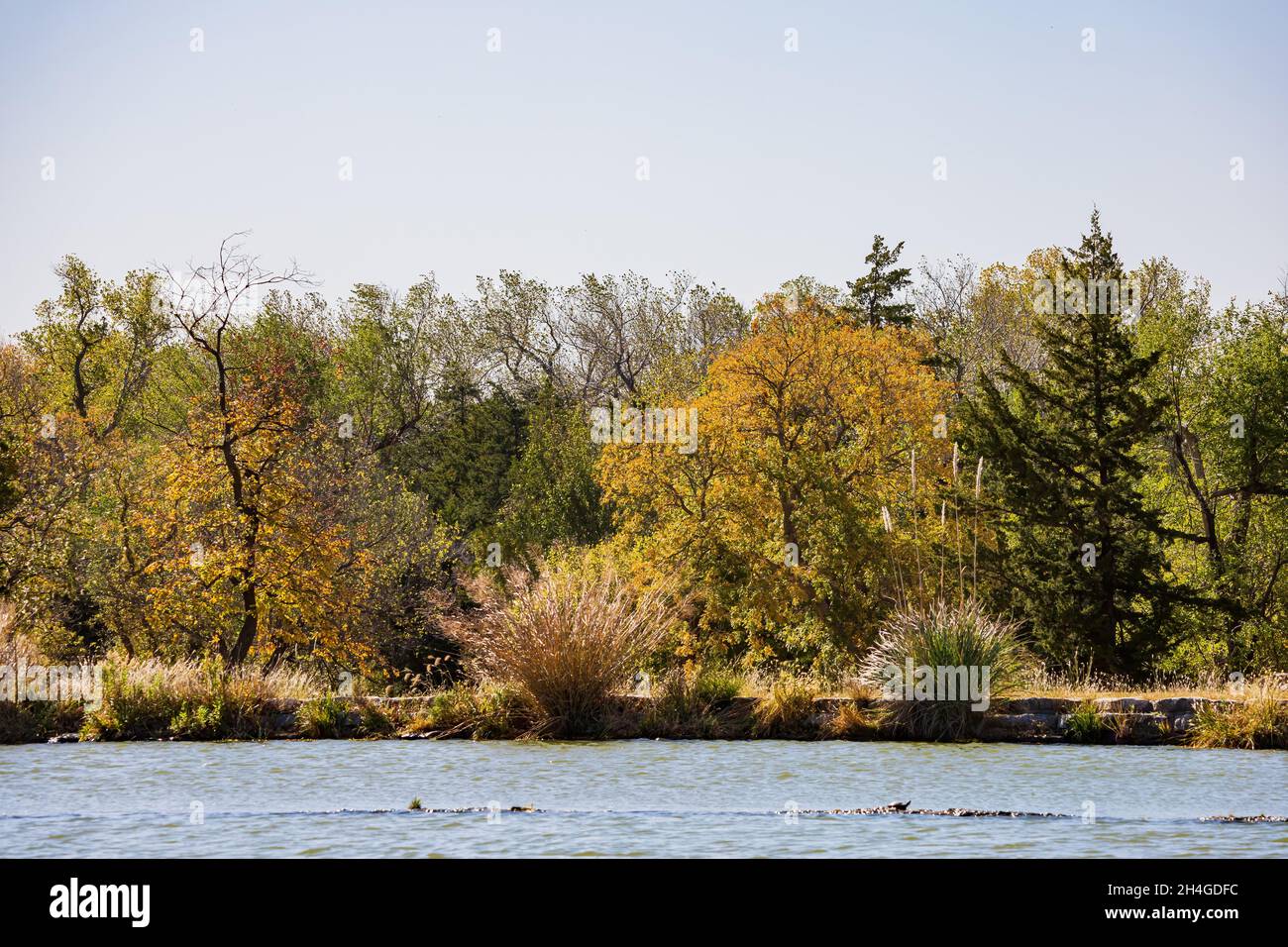 Sunny view of the landscape inside the Boiling Springs State Park at ...