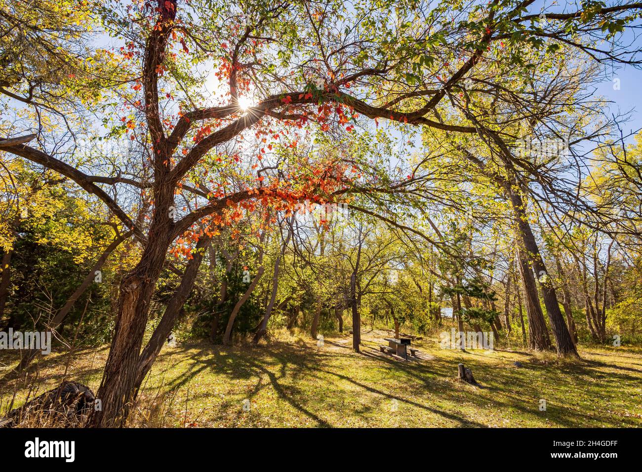 Sunny view of the landscape inside the Boiling Springs State Park at ...