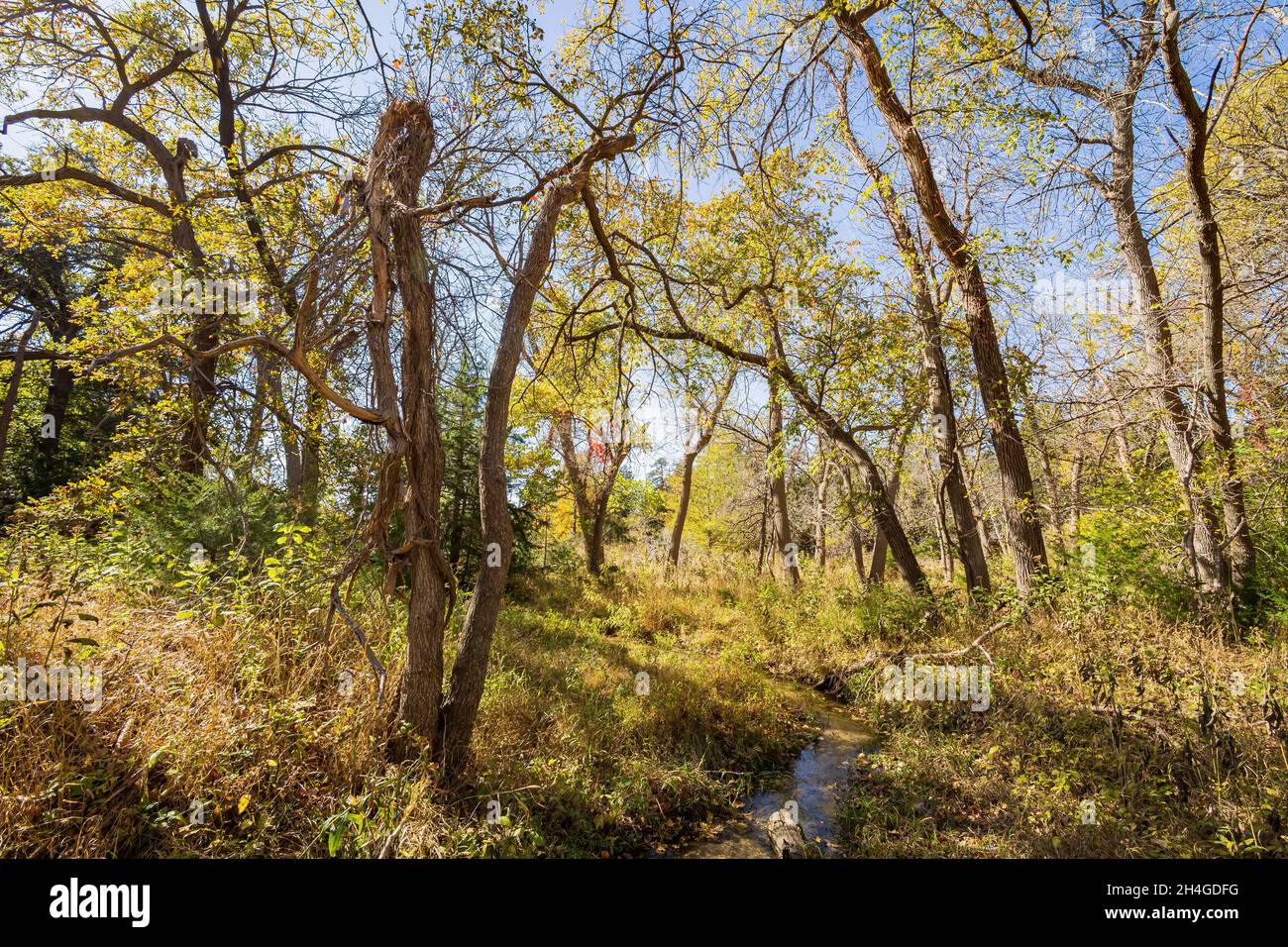 Boiling springs state park hi-res stock photography and images - Alamy