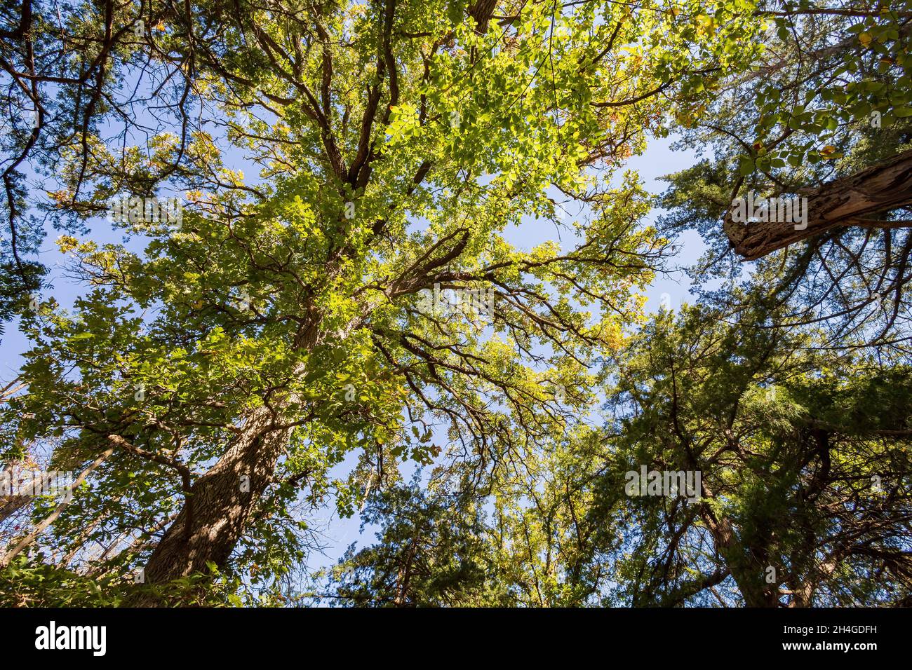 Sunny view of the landscape inside the Boiling Springs State Park at ...