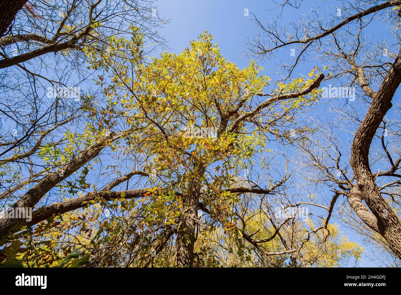 Sunny view of the landscape inside the Boiling Springs State Park at ...