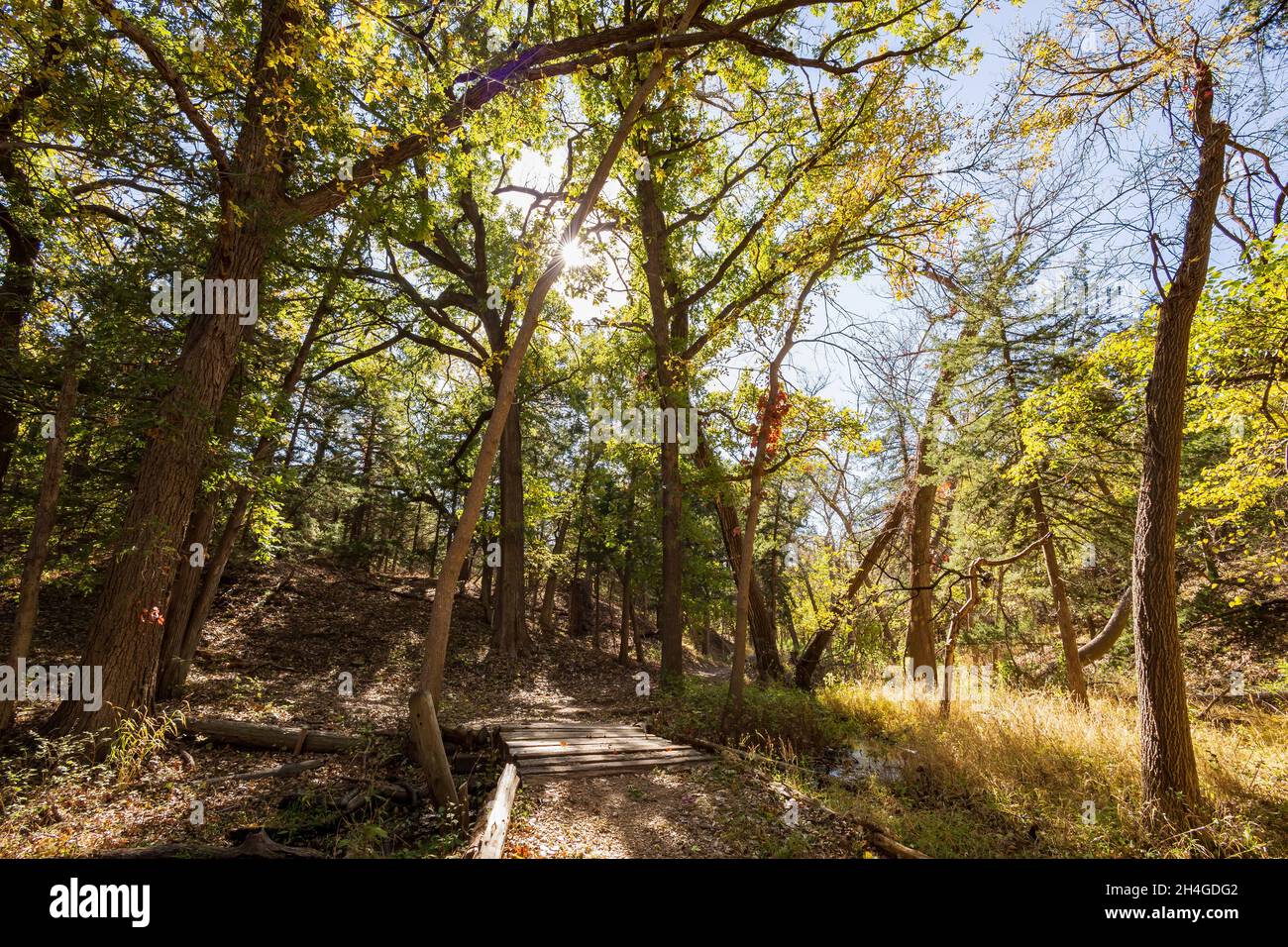 Sunny view of the landscape inside the Boiling Springs State Park at ...
