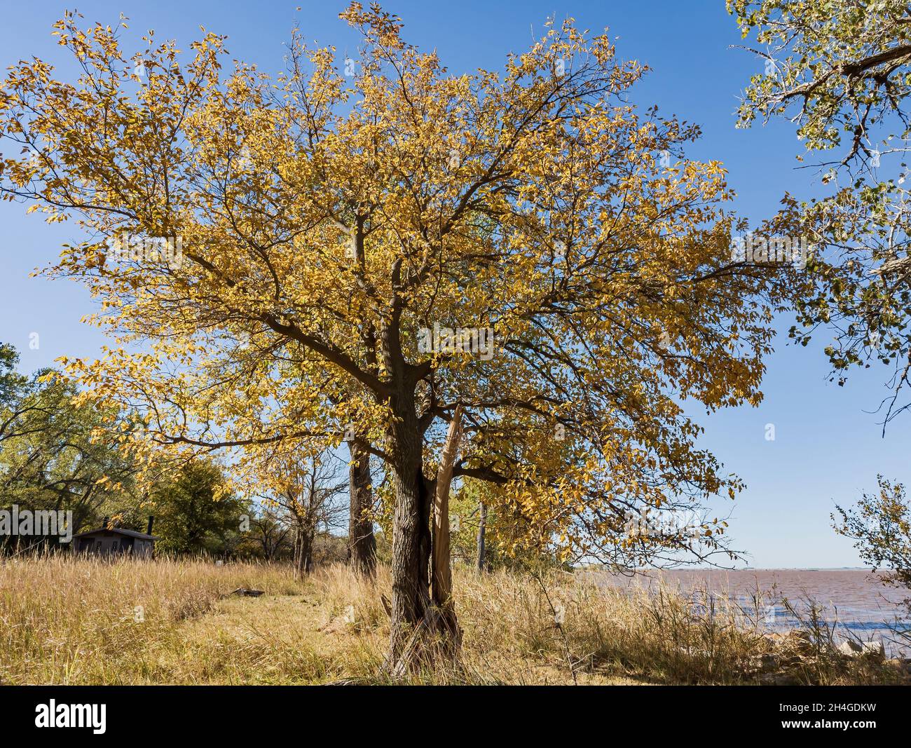 Autumn landscape of the Jet Recreation Nature Trail at Oklahoma Stock ...