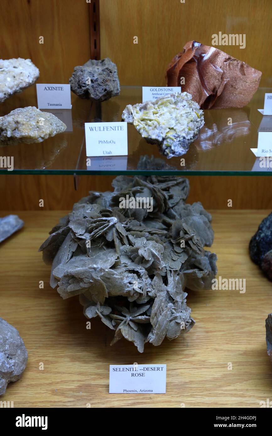 Minerals and rocks collection display in Mineral & Rock Room inside of ...