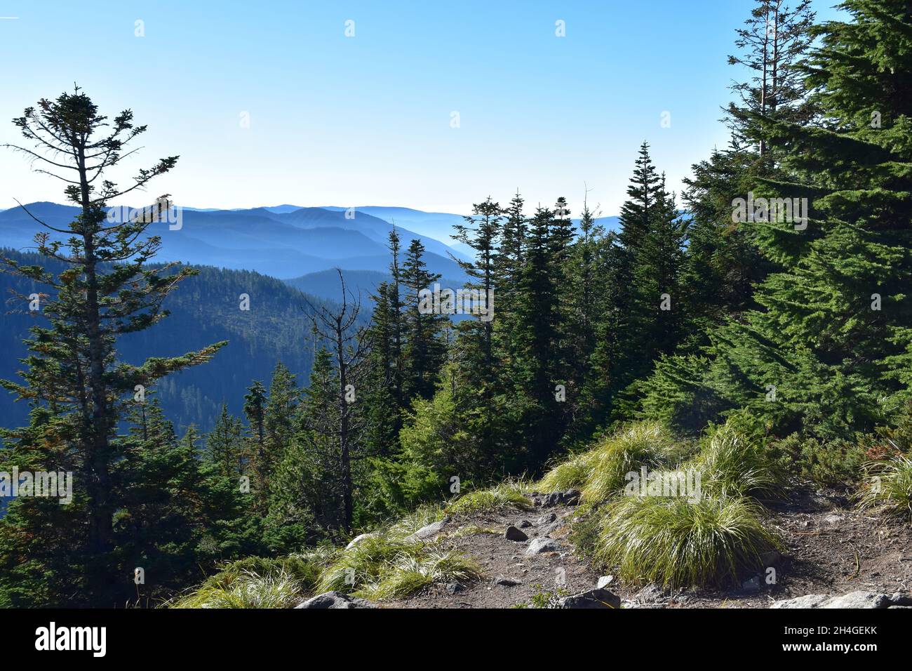 Spectacular views on a clear October day on the McNeil Point Trail in ...