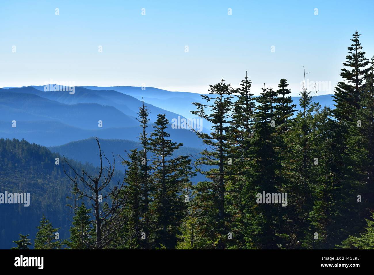 Spectacular views on a clear October day on the McNeil Point Trail in ...