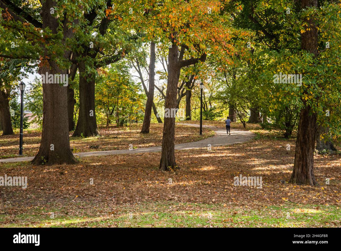 Parks in autumn Stock Photo - Alamy