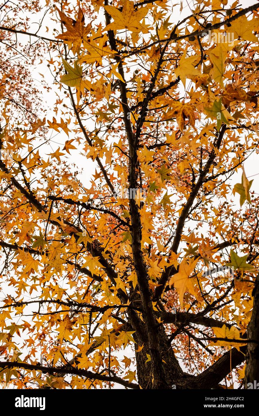 Season transitions hi-res stock photography and images - Alamy